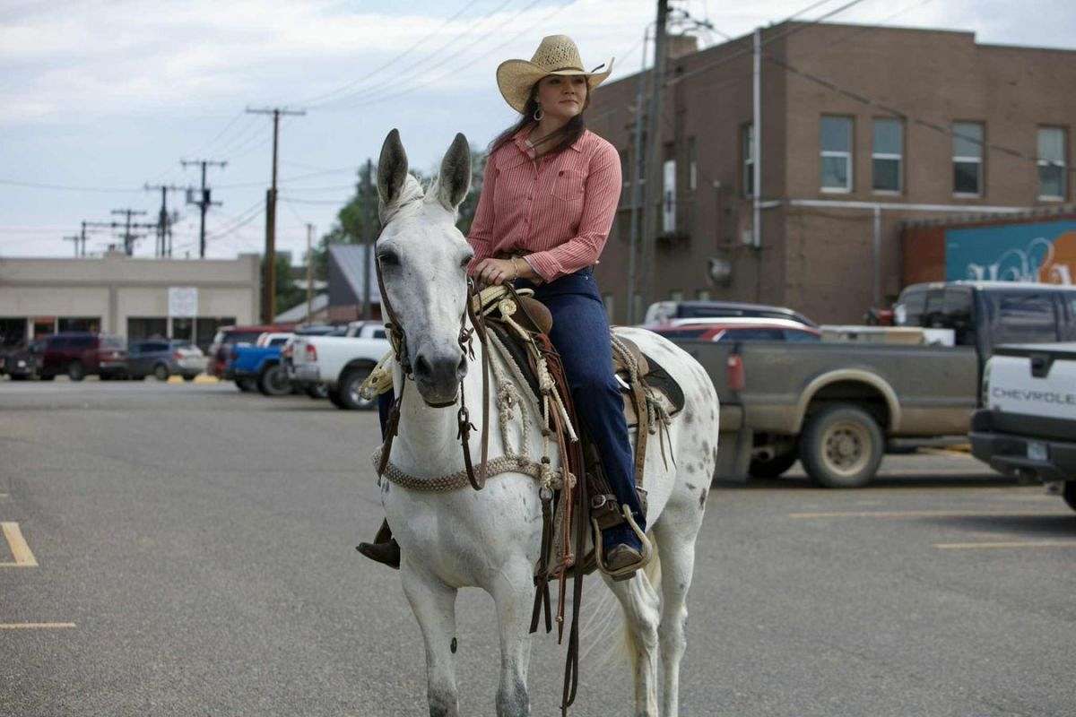 Ranch - Versatile & Well Rounded 8 Yr Old Appaloosa John Mule!
