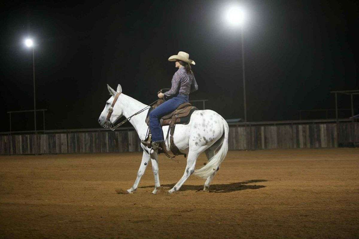 Ranch - Versatile & Well Rounded 8 Yr Old Appaloosa John Mule!
