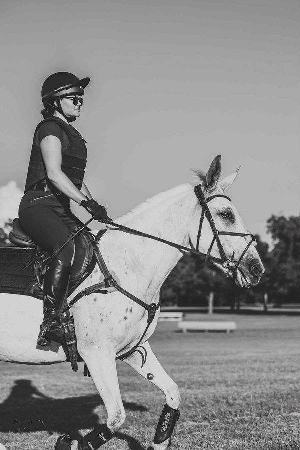 Ranch - Versatile & Well Rounded 8 Yr Old Appaloosa John Mule!