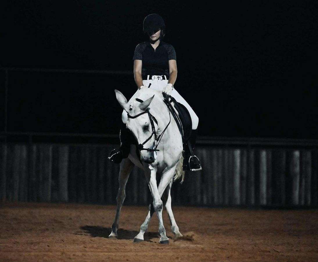 Ranch - Versatile & Well Rounded 8 Yr Old Appaloosa John Mule!