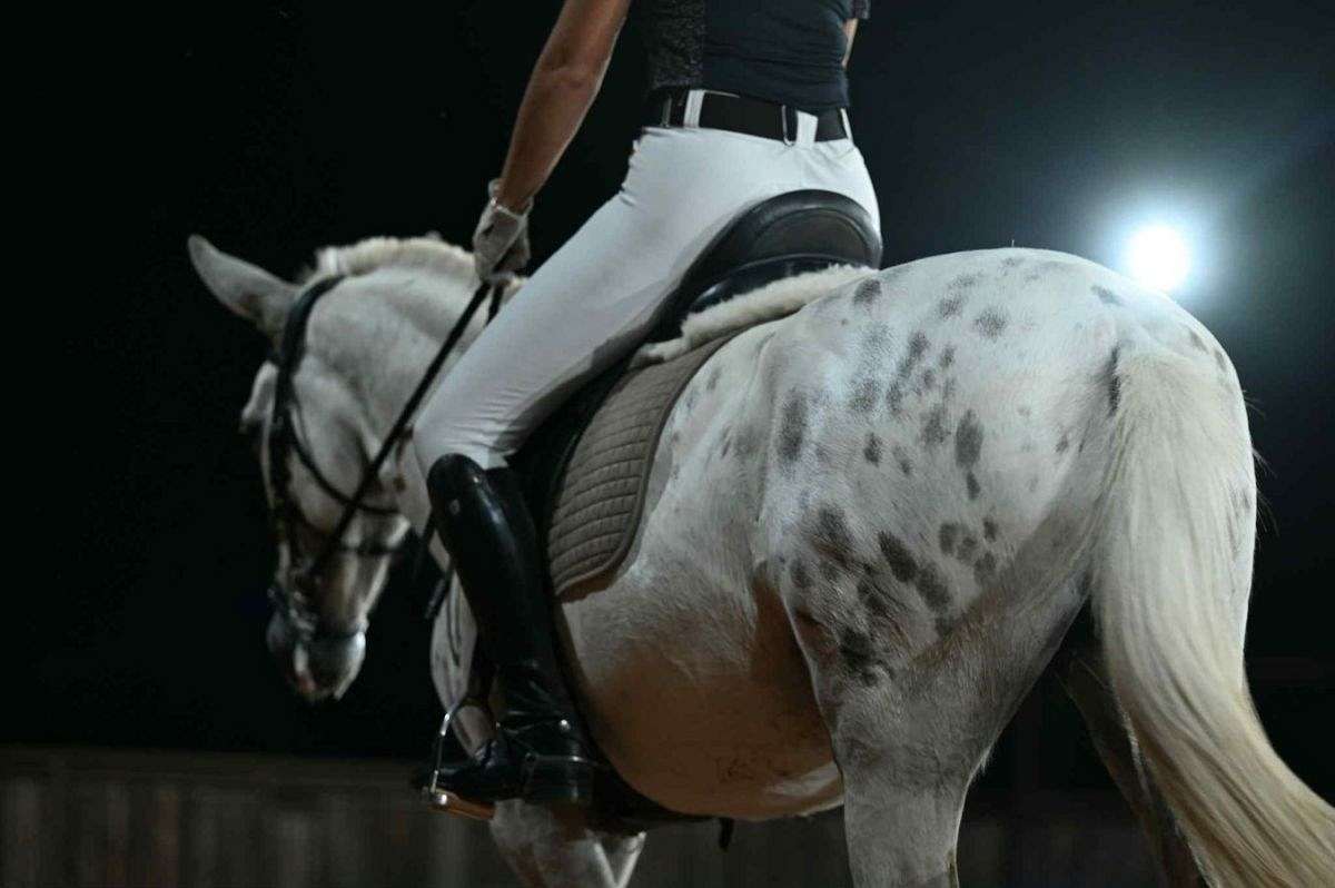 Ranch - Versatile & Well Rounded 8 Yr Old Appaloosa John Mule!
