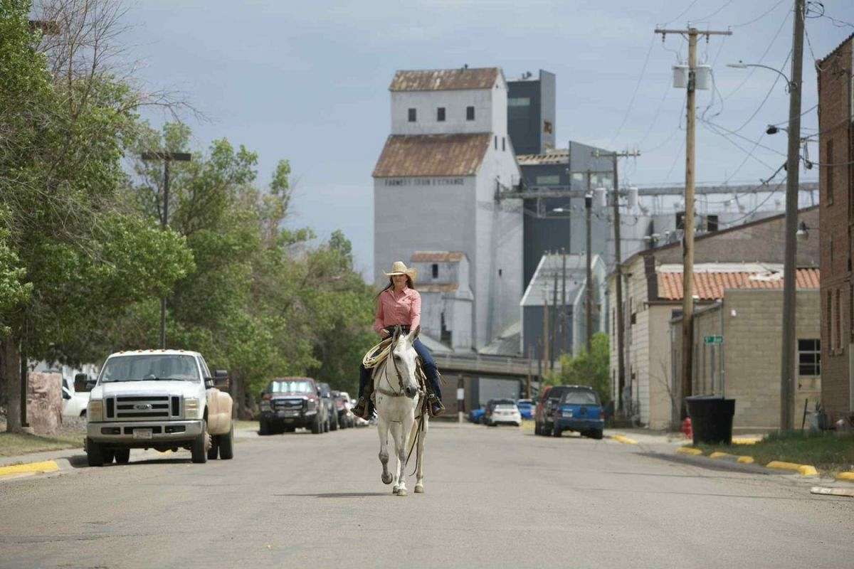 Ranch - Versatile & Well Rounded 8 Yr Old Appaloosa John Mule!