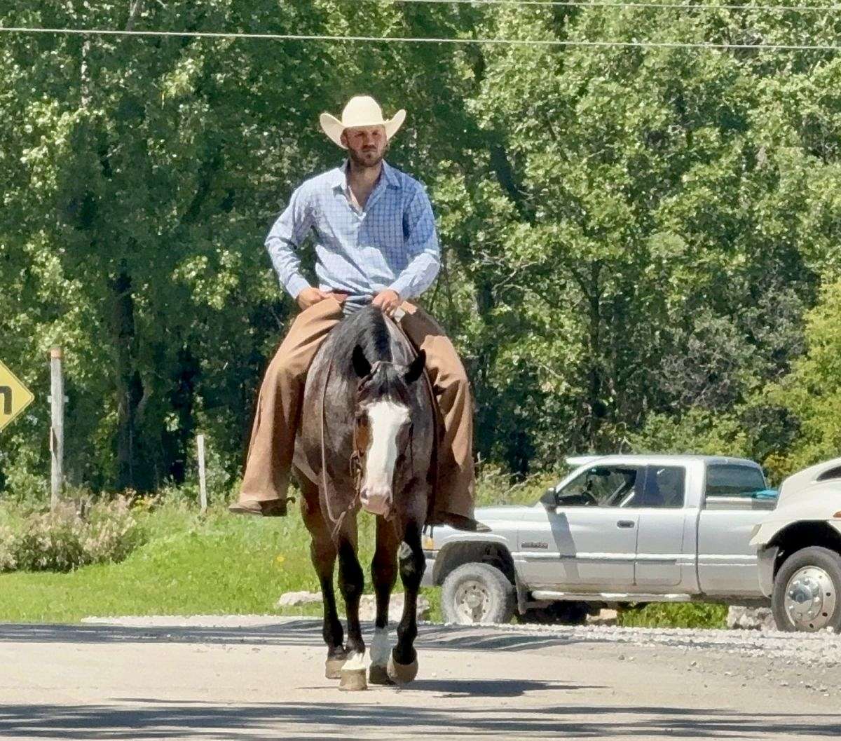 Leroy - Big Bodied Gorgeous 5 Yr Old Bay Roan APHA Gelding!