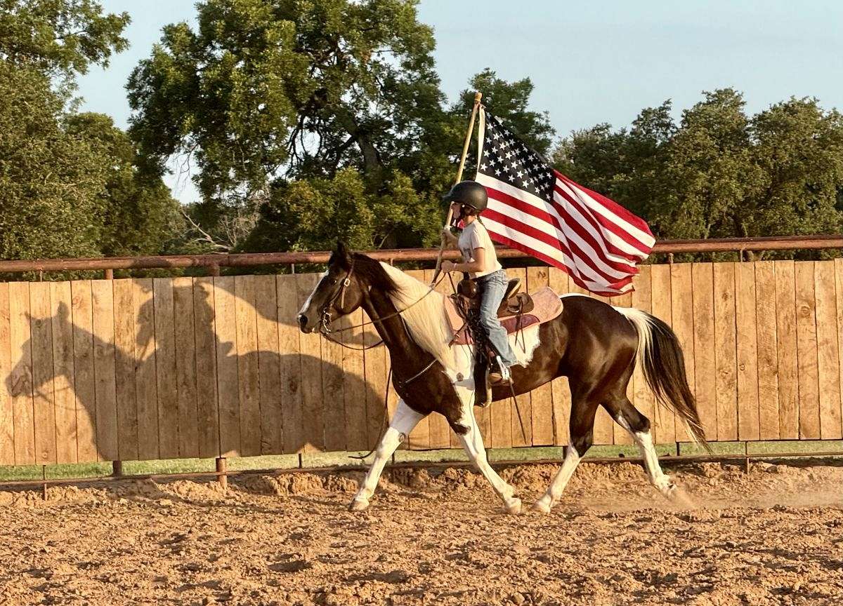 Cochise - Extremely Sweet & Versatile 6 yo Black & White Paint Gelding!