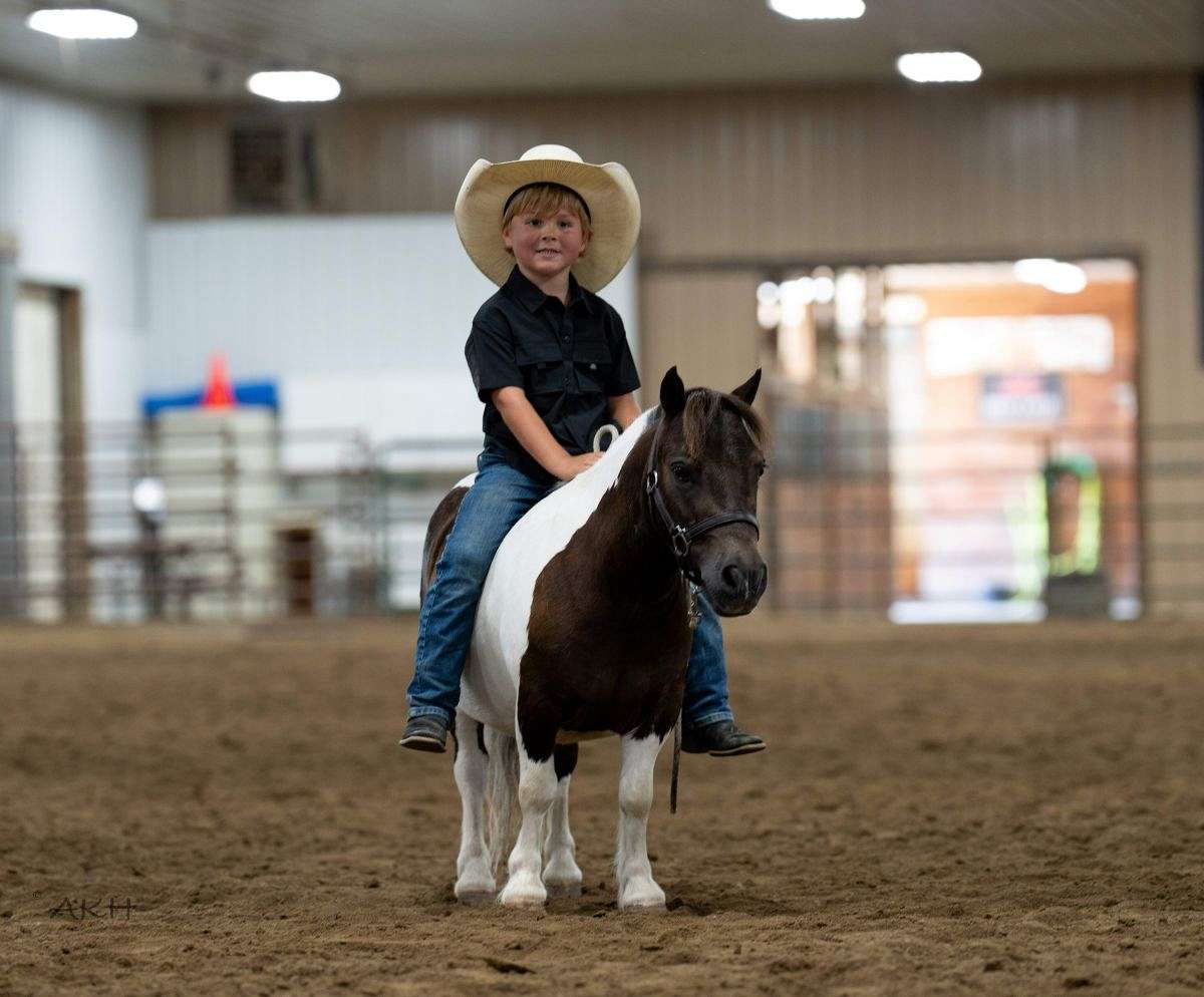 Haystack - Super Cute 4 Yr Old Black & White Pony Gelding!