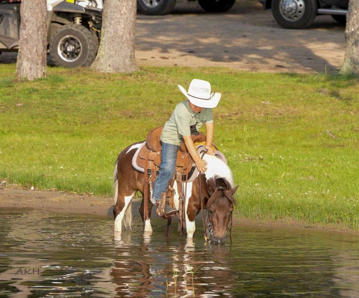 Haystack - Super Cute 4 Yr Old Black & White Pony Gelding!