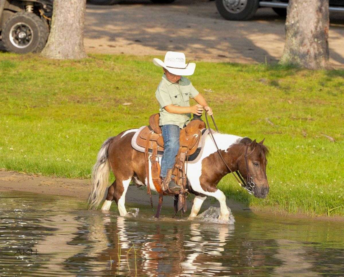 Haystack - Super Cute 4 Yr Old Black & White Pony Gelding!