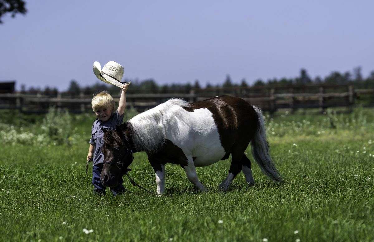 Haystack - Super Cute 4 Yr Old Black & White Pony Gelding!