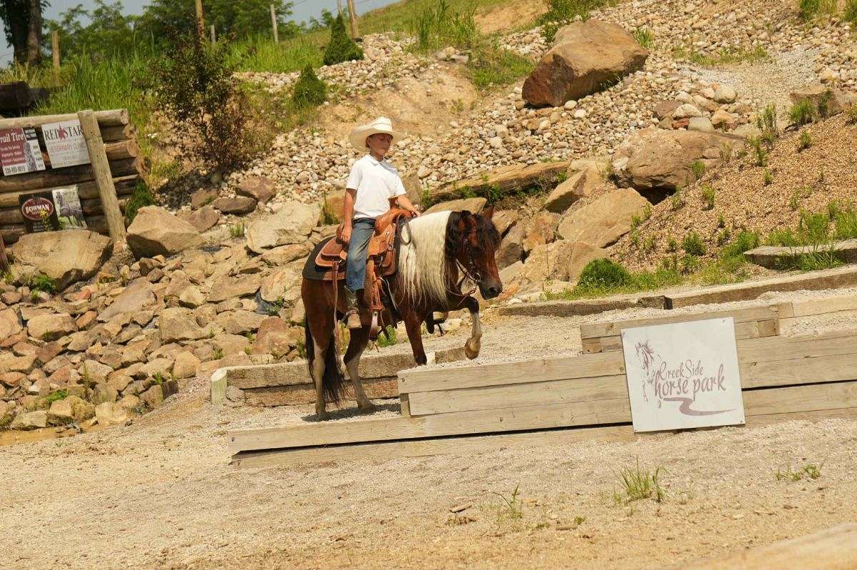 Waylon - Amazing Ranch/Rodeo Pony 10 Yr Old Paint Pony Gelding!