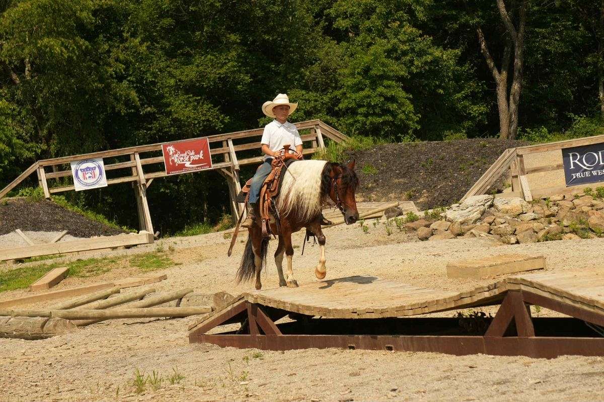 Waylon - Amazing Ranch/Rodeo Pony 10 Yr Old Paint Pony Gelding!