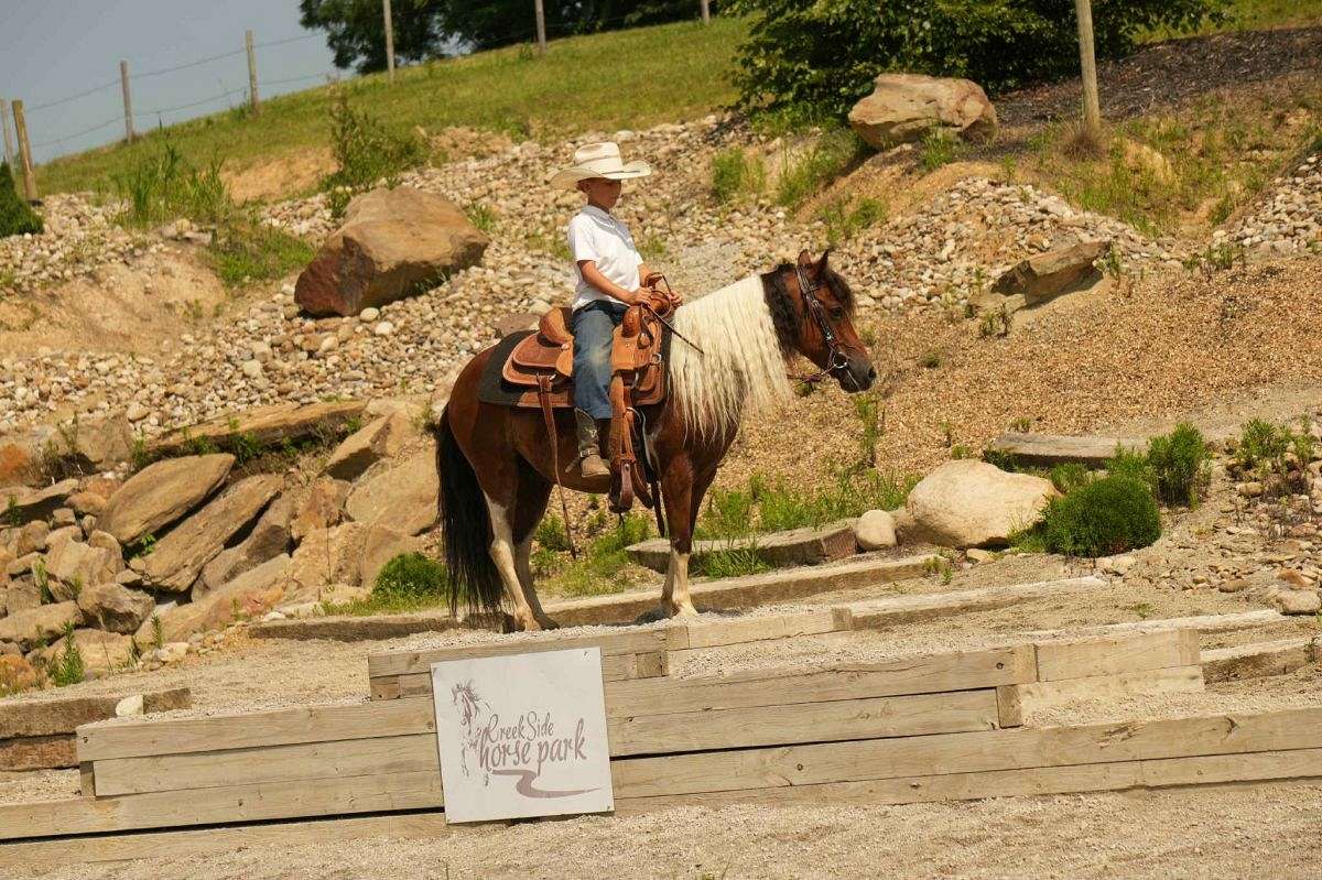 Waylon - Amazing Ranch/Rodeo Pony 10 Yr Old Paint Pony Gelding!