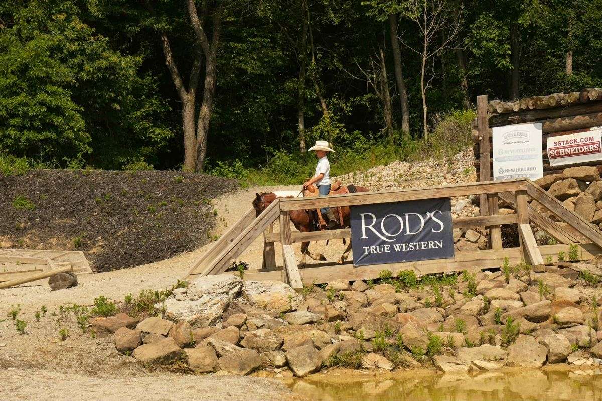 Waylon - Amazing Ranch/Rodeo Pony 10 Yr Old Paint Pony Gelding!