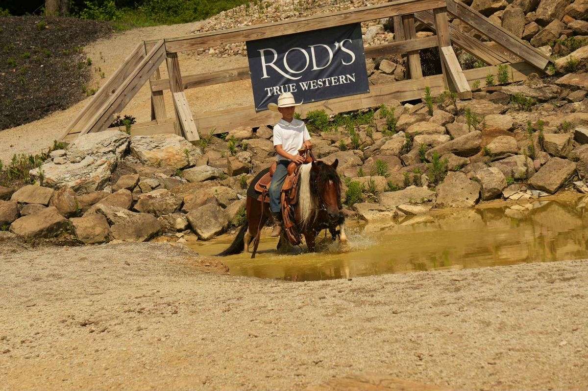 Waylon - Amazing Ranch/Rodeo Pony 10 Yr Old Paint Pony Gelding!