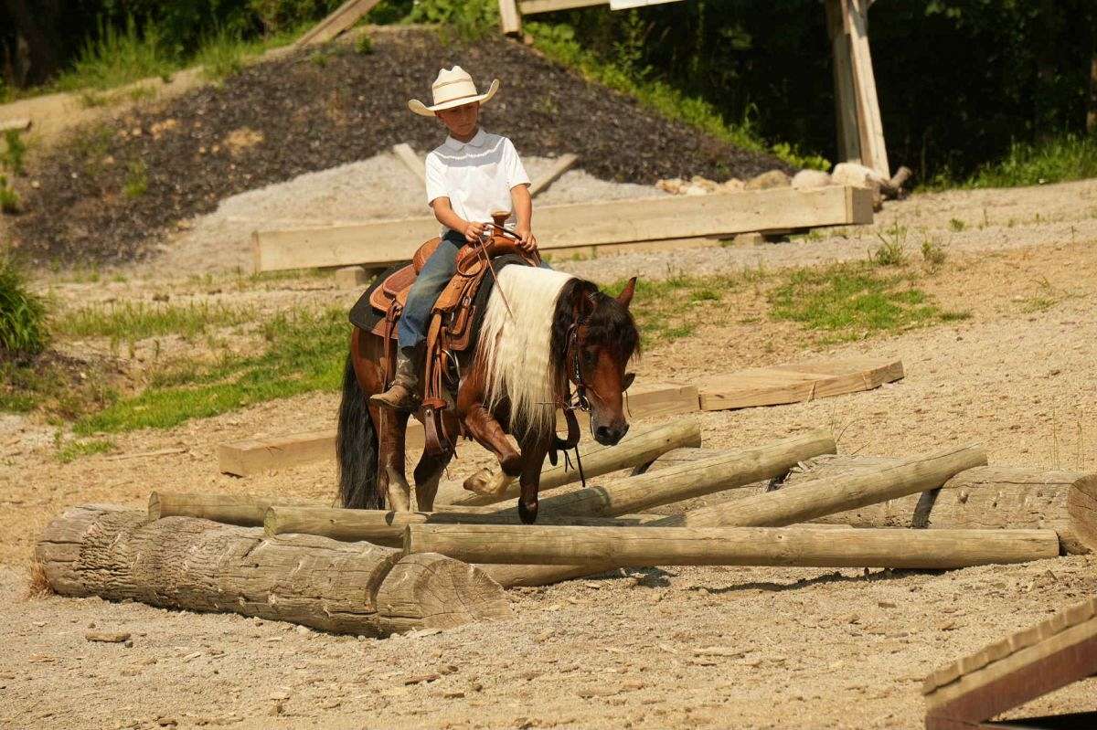 Waylon - Amazing Ranch/Rodeo Pony 10 Yr Old Paint Pony Gelding!