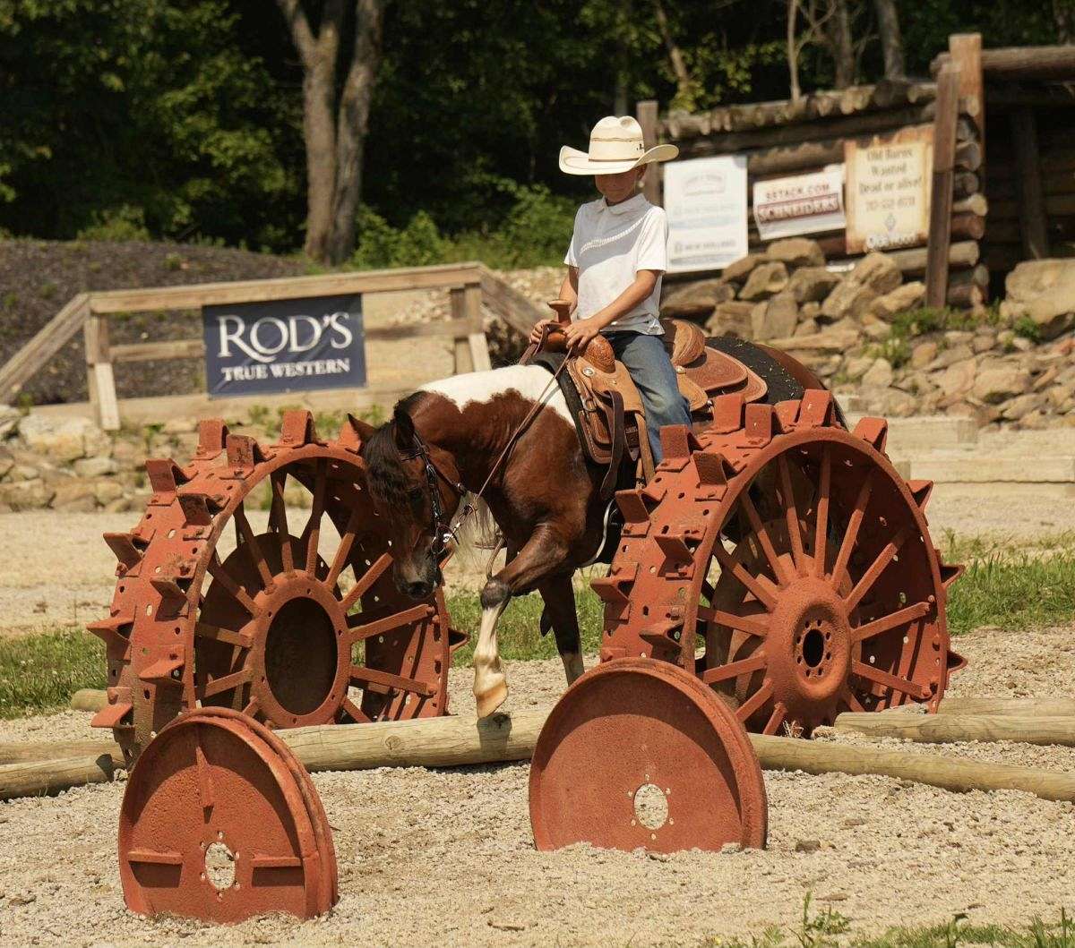Waylon - Amazing Ranch/Rodeo Pony 10 Yr Old Paint Pony Gelding!
