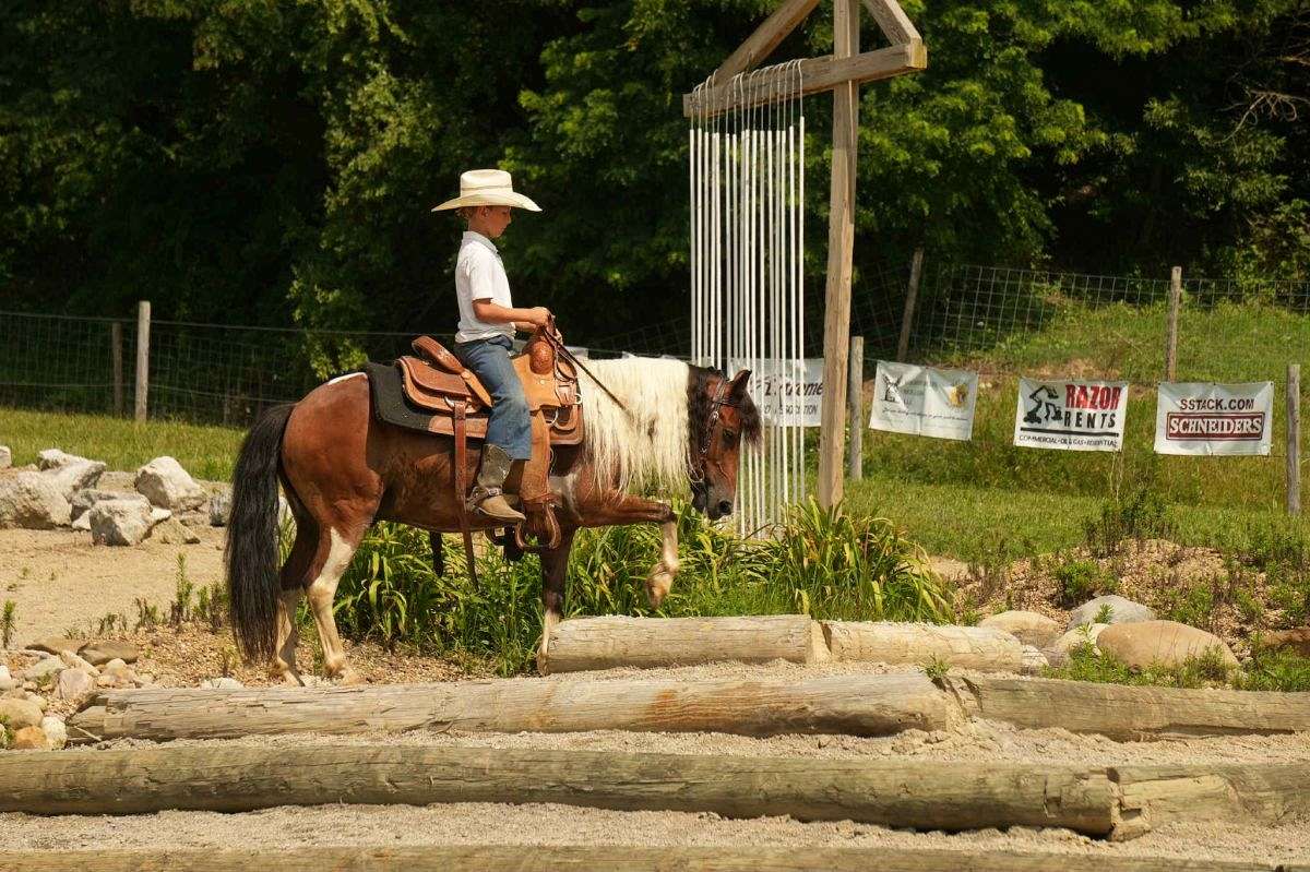 Waylon - Amazing Ranch/Rodeo Pony 10 Yr Old Paint Pony Gelding!