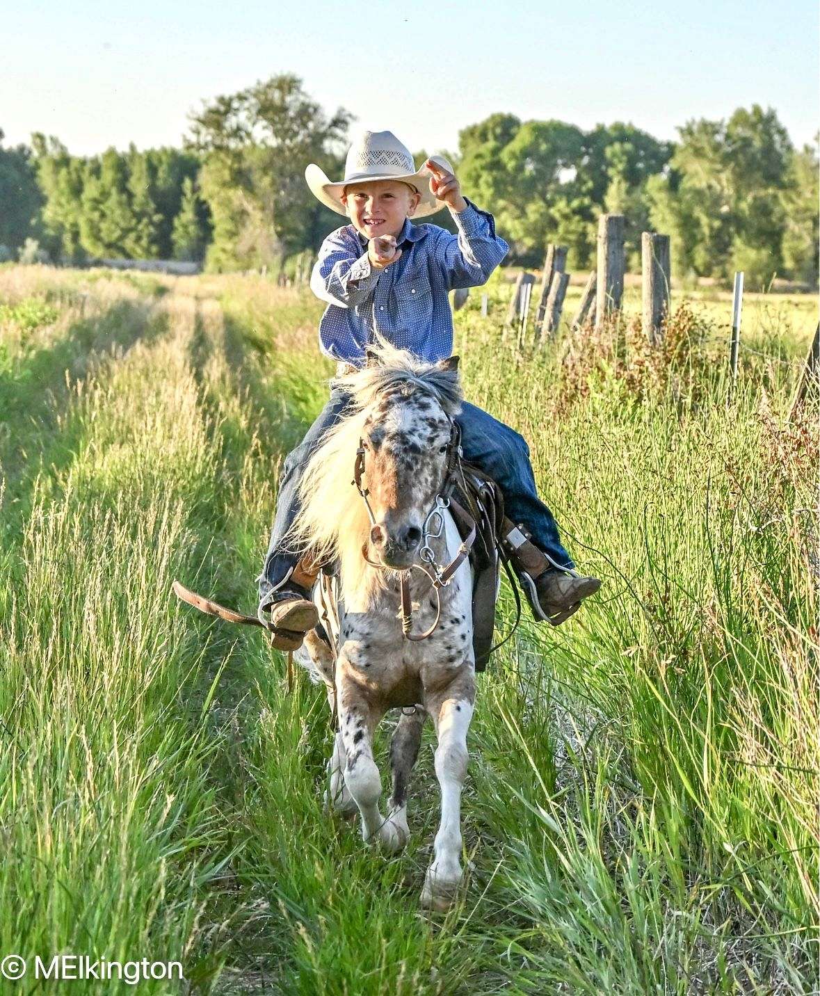 Concho - Super Awesome 8 Yr Old Spotted Appaloosa Pony Gelding!