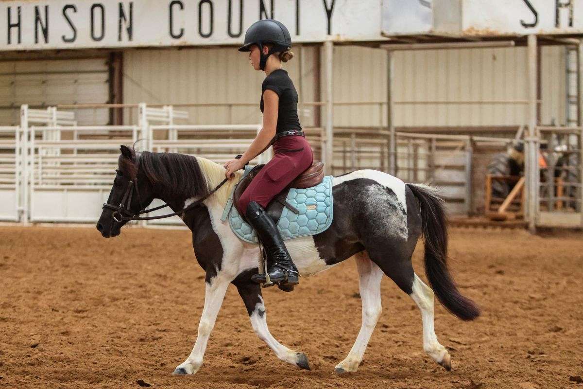 Bonnie - Absolutely Adorable 6 Yr Old Black Paint Pony Mare!