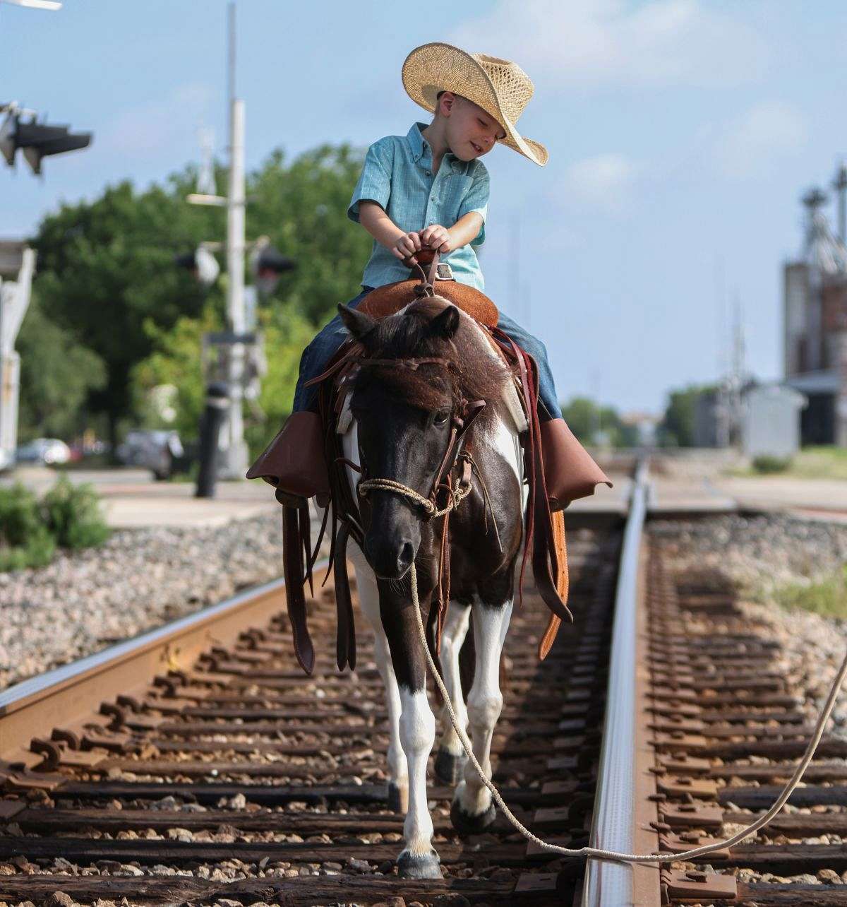 Bonnie - Absolutely Adorable 6 Yr Old Black Paint Pony Mare!