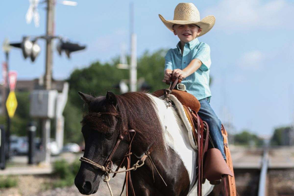 Bonnie - Absolutely Adorable 6 Yr Old Black Paint Pony Mare!