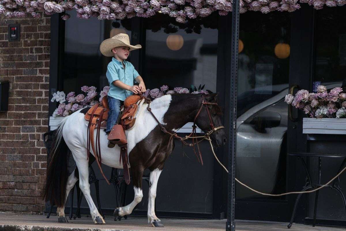 Bonnie - Absolutely Adorable 6 Yr Old Black Paint Pony Mare!