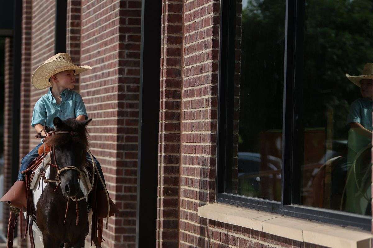 Bonnie - Absolutely Adorable 6 Yr Old Black Paint Pony Mare!