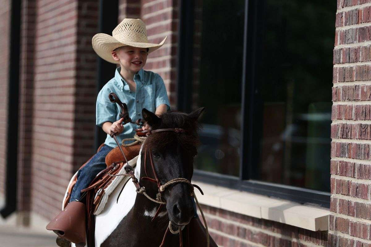 Bonnie - Absolutely Adorable 6 Yr Old Black Paint Pony Mare!