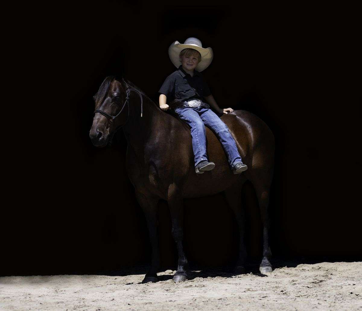 Bob - Gentle & Reliable Mount 13 Yr Old Bay Quarter Pony Gelding!