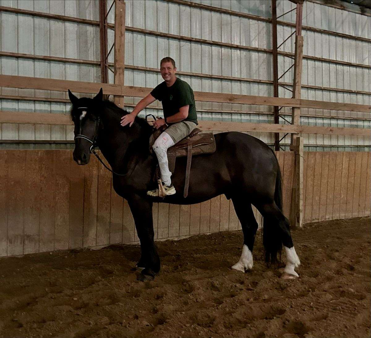 Quiet, Safe, and Fun Percheron/QH Gelding