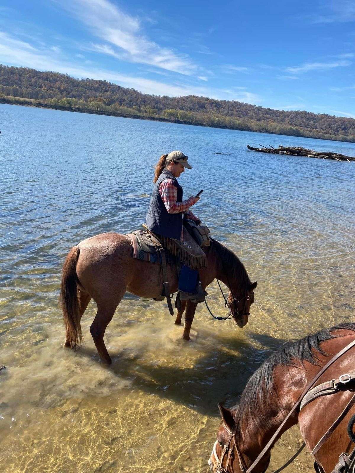 Red Roan Titled Mustang Mare