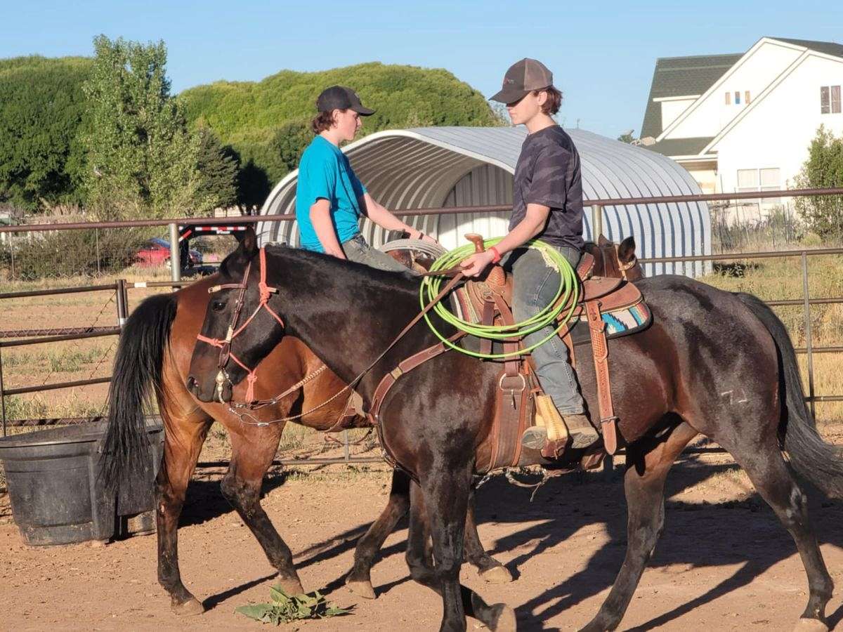 Semi-Retired Rope Horse