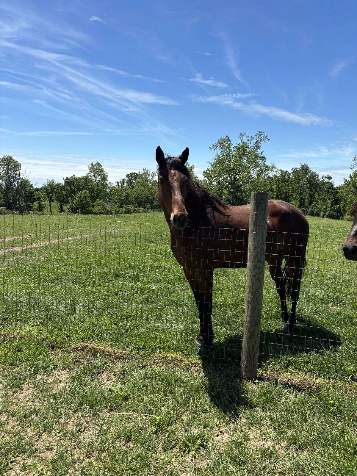Tall, Dark, and Handsome