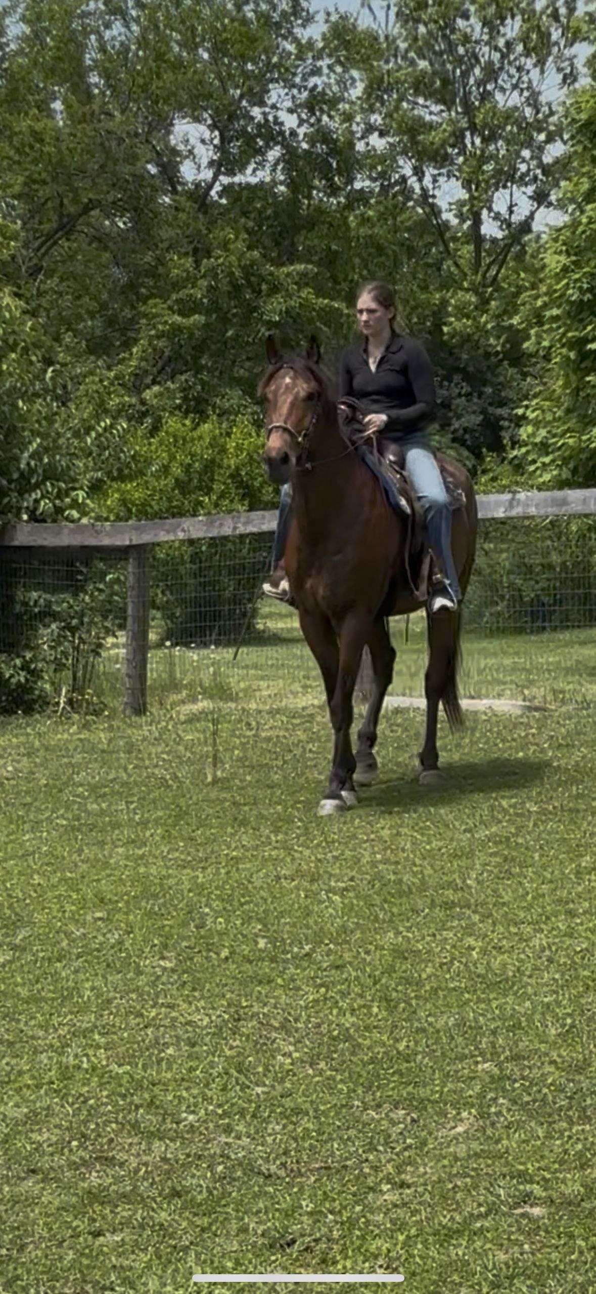 Tall, Dark, and Handsome