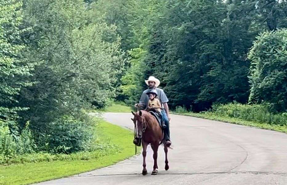 Stunning Trail and Ranch Deluxe Horse 7 Yr Old Sorrel Quarter Horse Gelding
