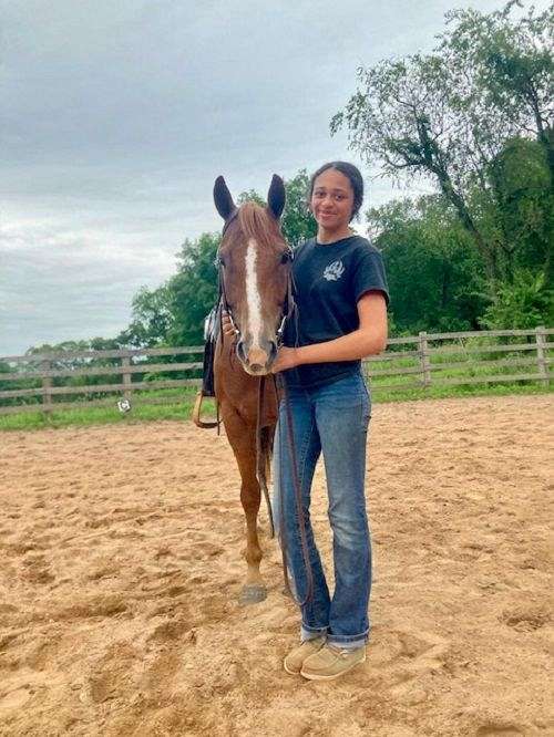 Stunning Trail and Ranch Deluxe Horse 7 Yr Old Sorrel Quarter Horse Gelding