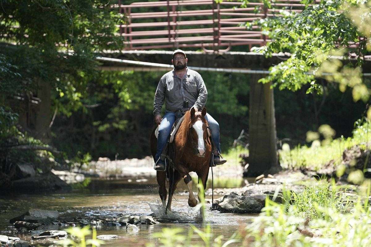 Gorgeous Family Trail Horse 12 Yr Old Sorrel Quarter Horse Mare!