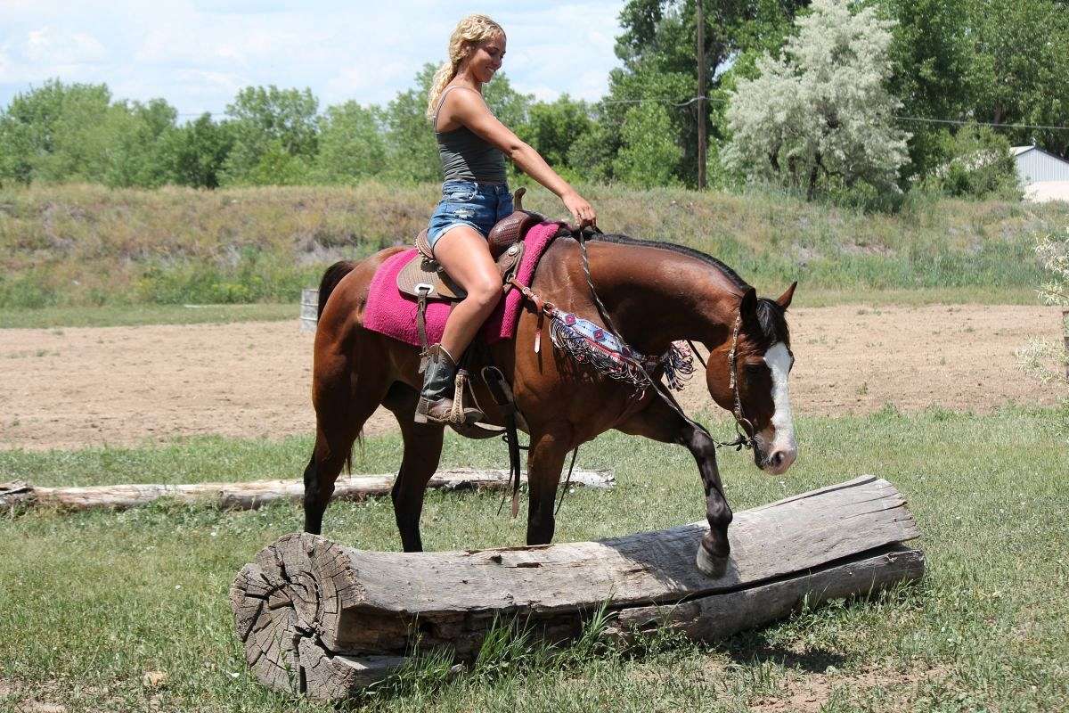 All Around Ranch and Barrel 12 Yr Old Bay AQHA Gelding!