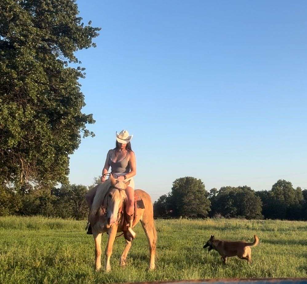 Bombproof Kid/ Grandma Safe Mare