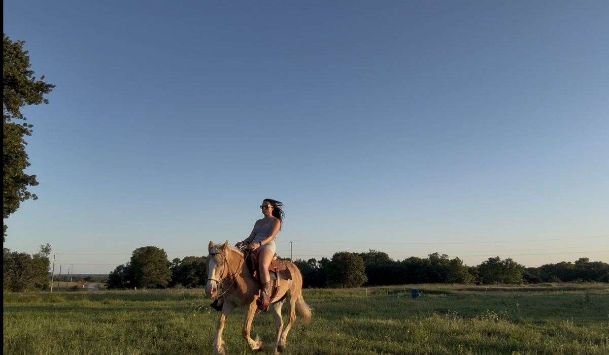 Bombproof Kid/ Grandma Safe Mare