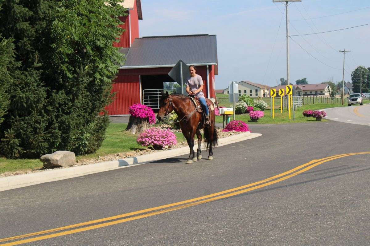 Bombproof Draft Cross