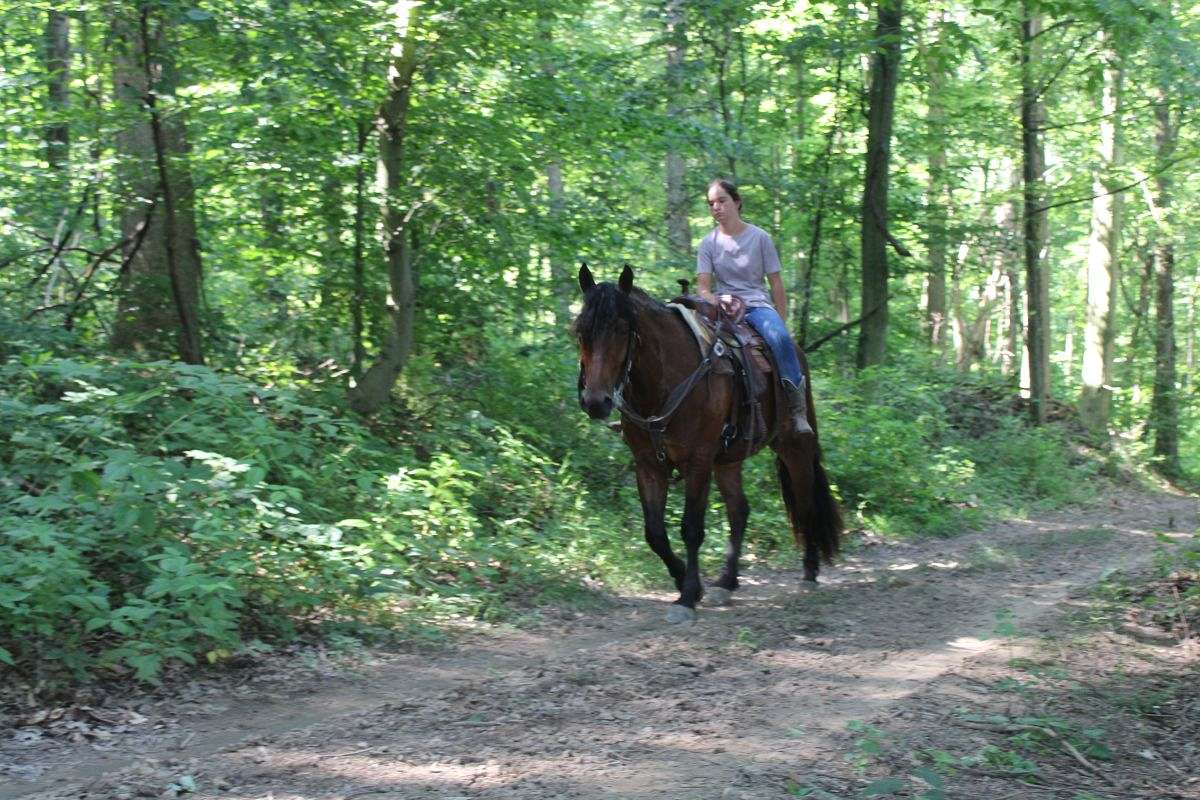 Bombproof Draft Cross