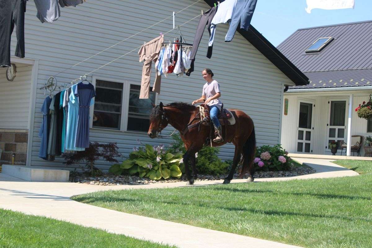 Bombproof Draft Cross