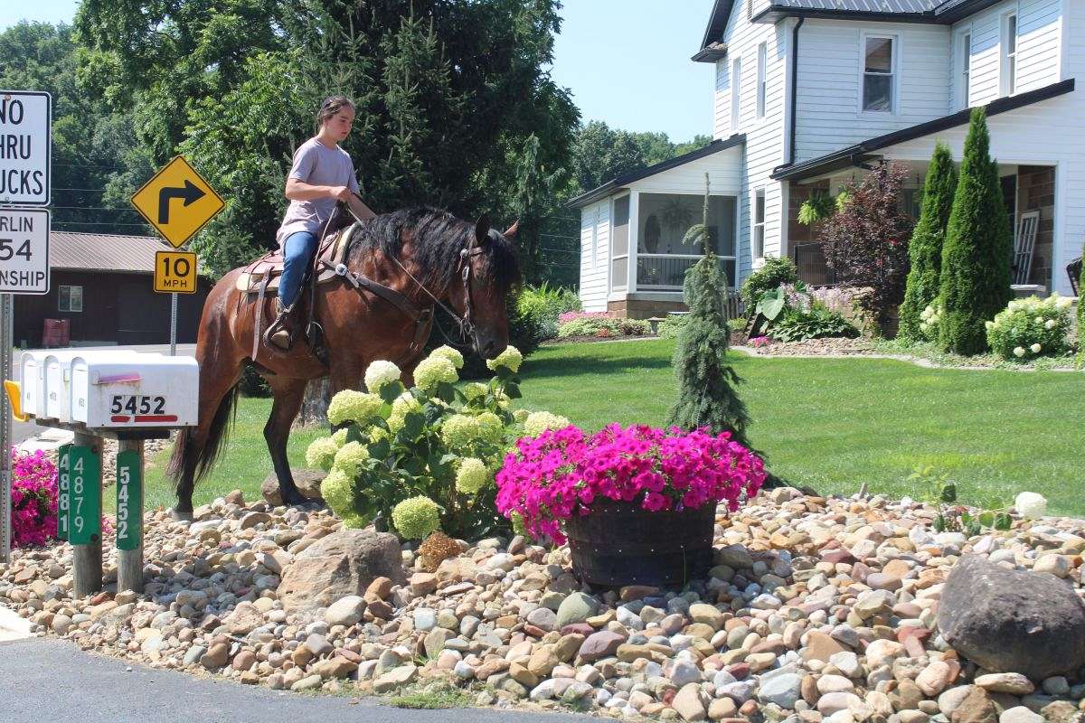 Bombproof Draft Cross