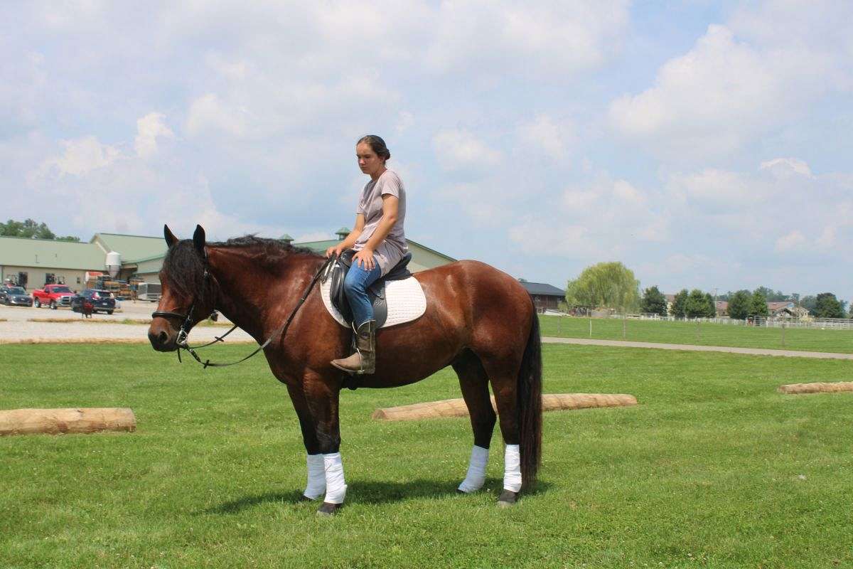 Bombproof Draft Cross