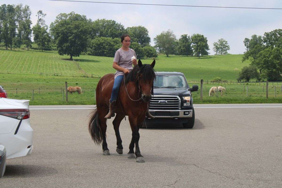 Bombproof Draft Cross