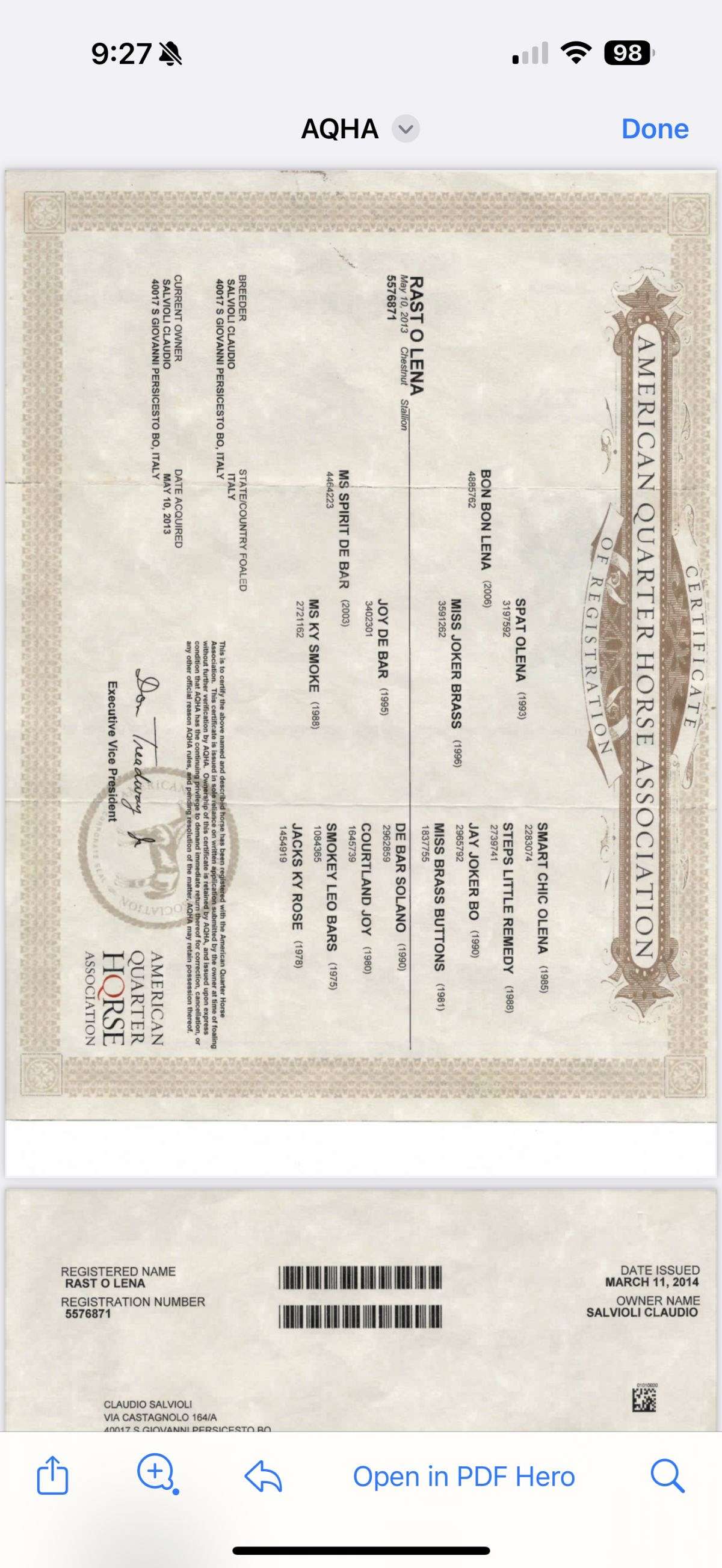 Fancy AQHA Ranch Riding or Reining Gelding!