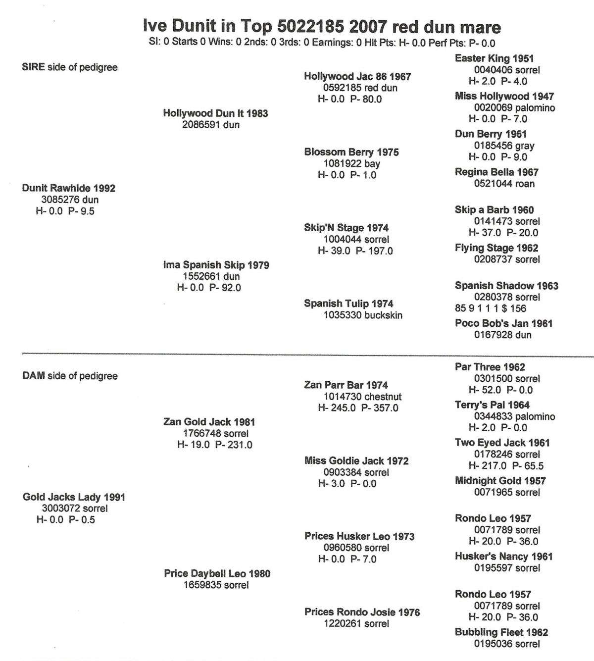 2024 AQHA Bay Dunit Rawhide by Hollywood Dun It Grandson