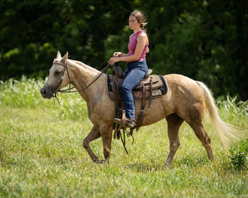 Cashed N Diamonds - Awesome Ranch & Roping Horse 8 yo Palomino APHA Mare.