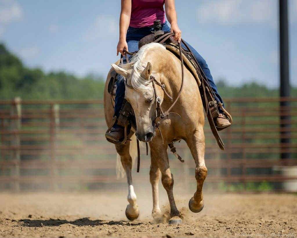 Cashed N Diamonds - Awesome Ranch & Roping Horse 8 yo Palomino APHA Mare.