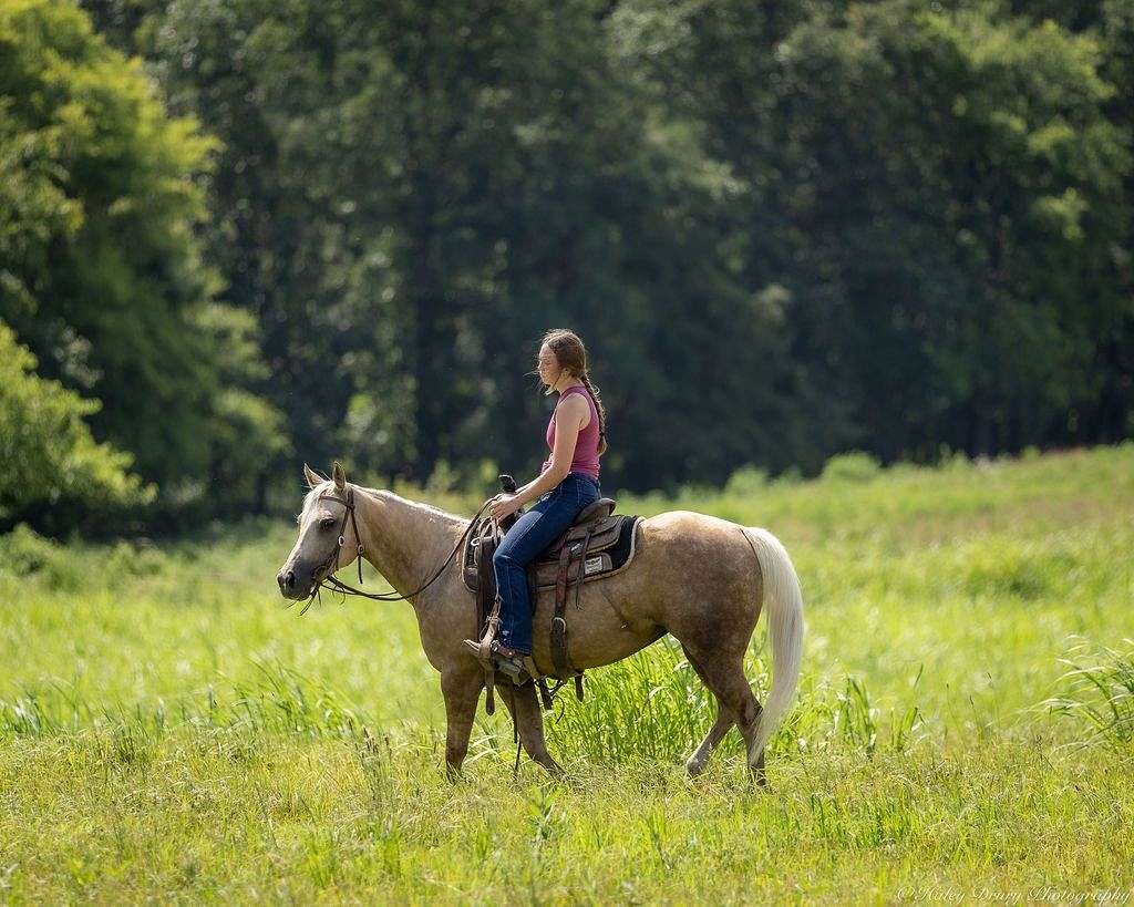 Cashed N Diamonds - Awesome Ranch & Roping Horse 8 yo Palomino APHA Mare.